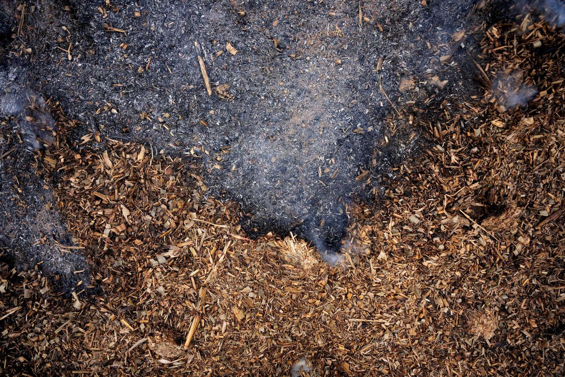 Dry conditions and increased vegetation set stage for higher wildfire ...